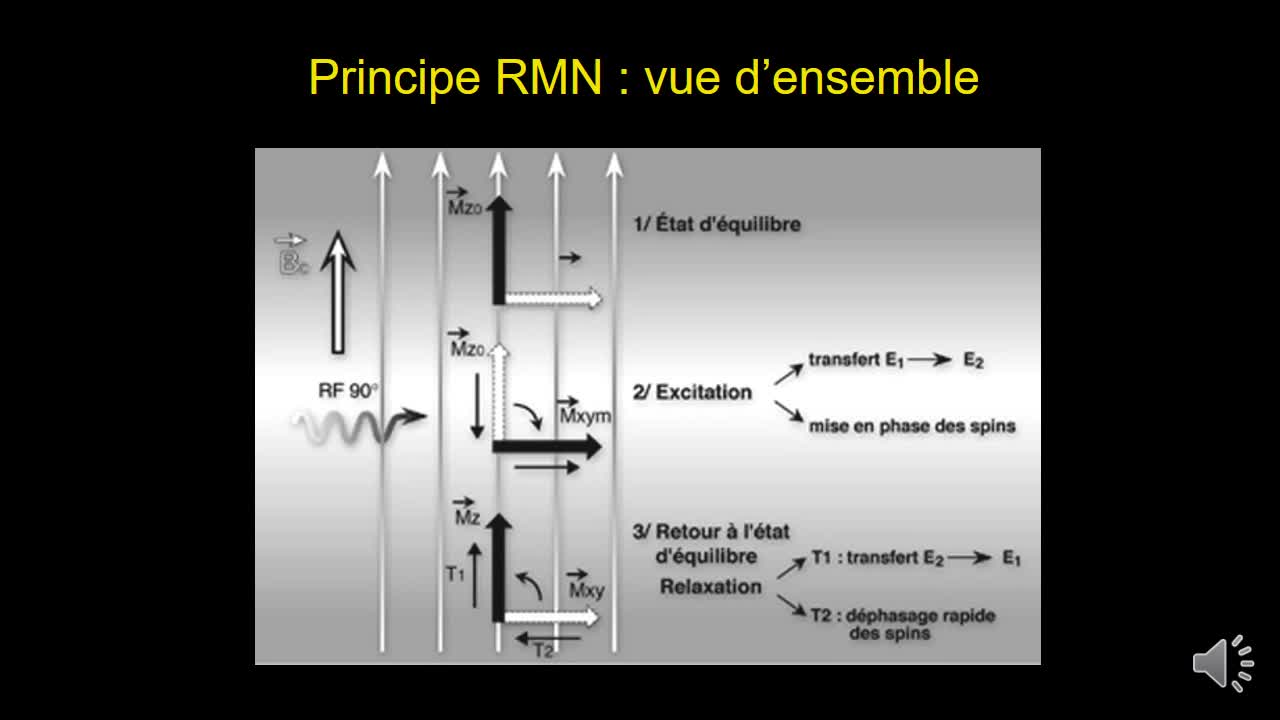 6 - RMN - overview